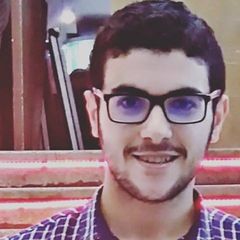 Mohamed Mahrous's Instagram, Twitter & Facebook on IDCrawl